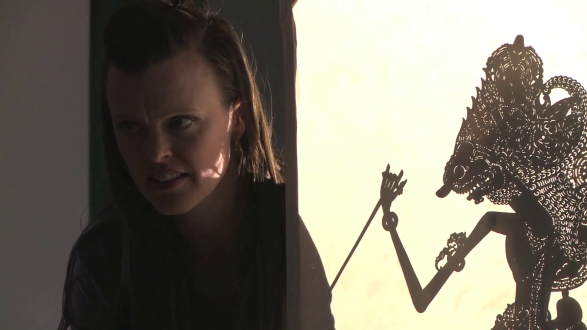 Introduction to Shadow Puppetry - ArtsConnection